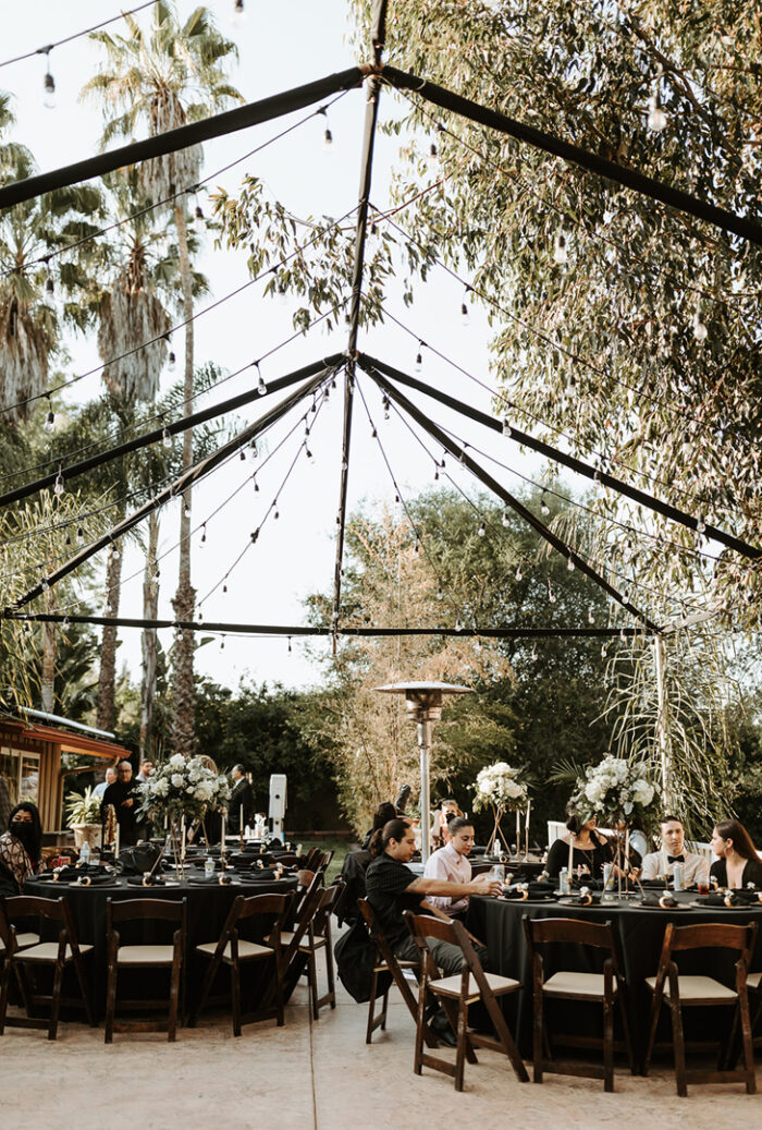 ACE PARTY RENTAL | Service